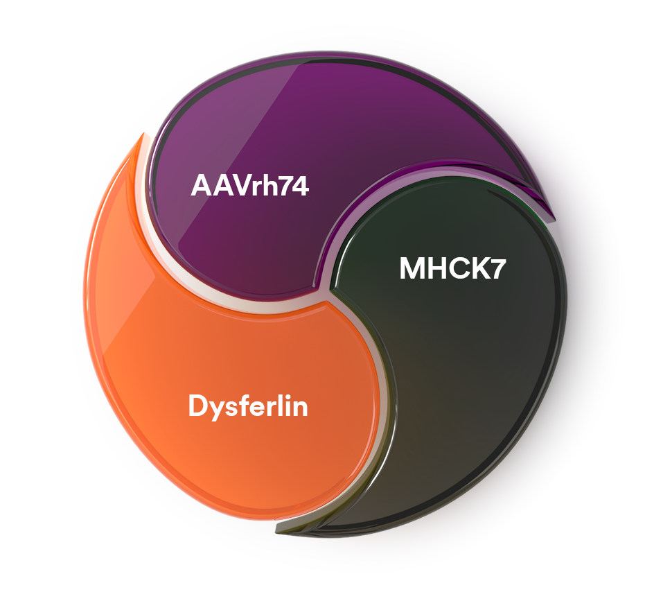 Gene Therapy Engine | Our Science | Sarepta Therapeutics Gene Therapy Engine | Our Science | Sarepta Therapeutics